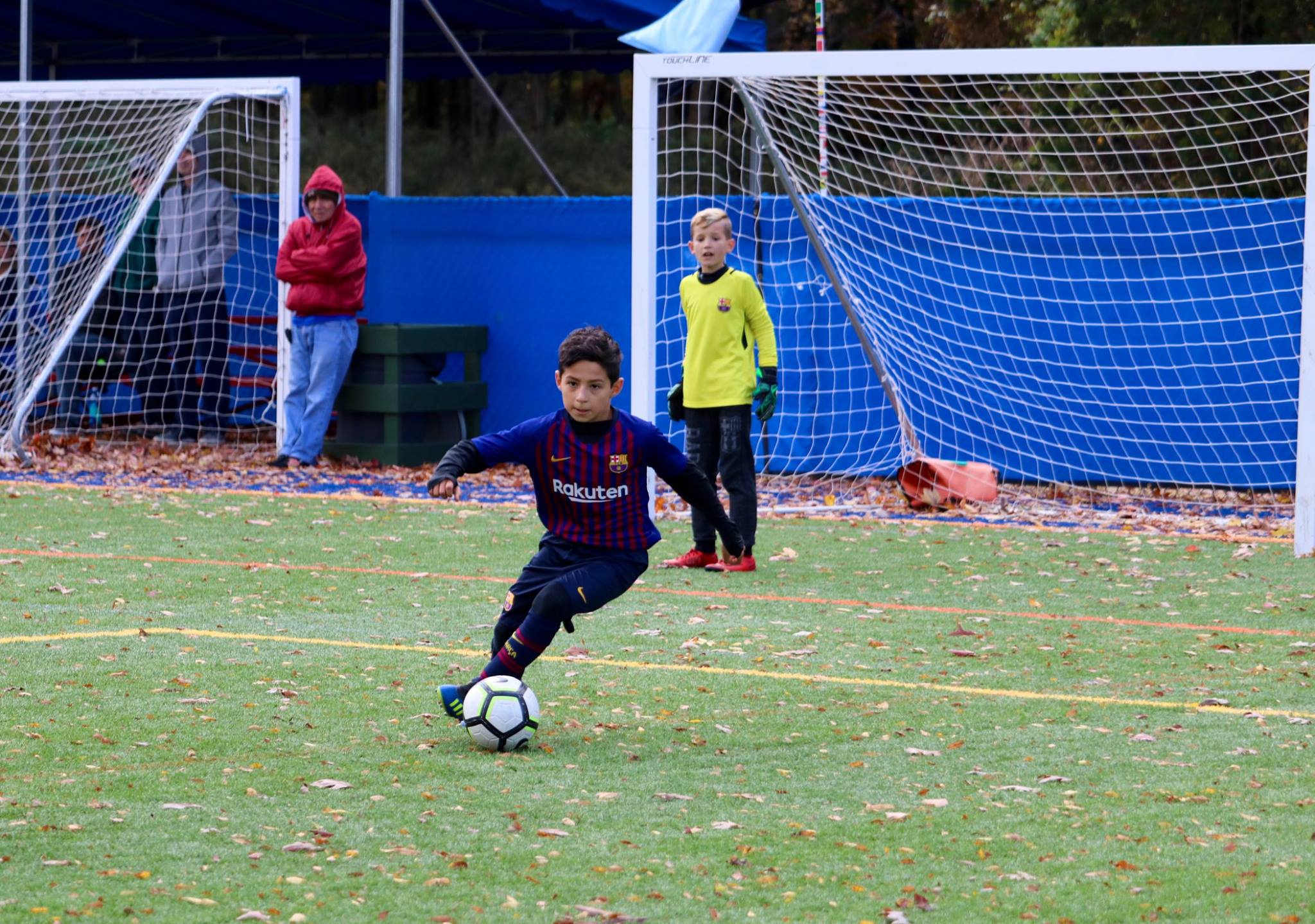 Gallery BA Pro NY/Development