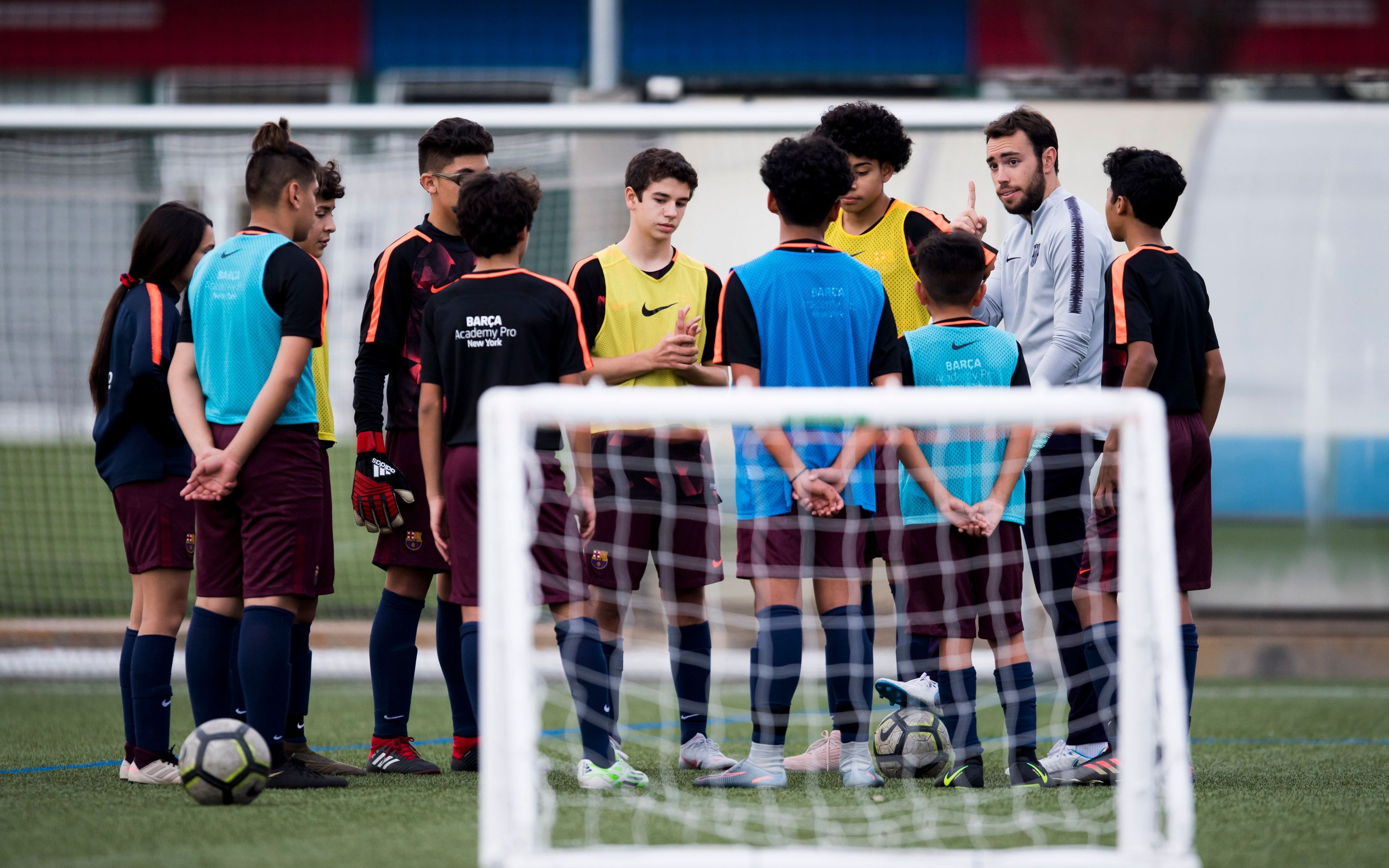 Gallery BA Pro NY/Academy Pro