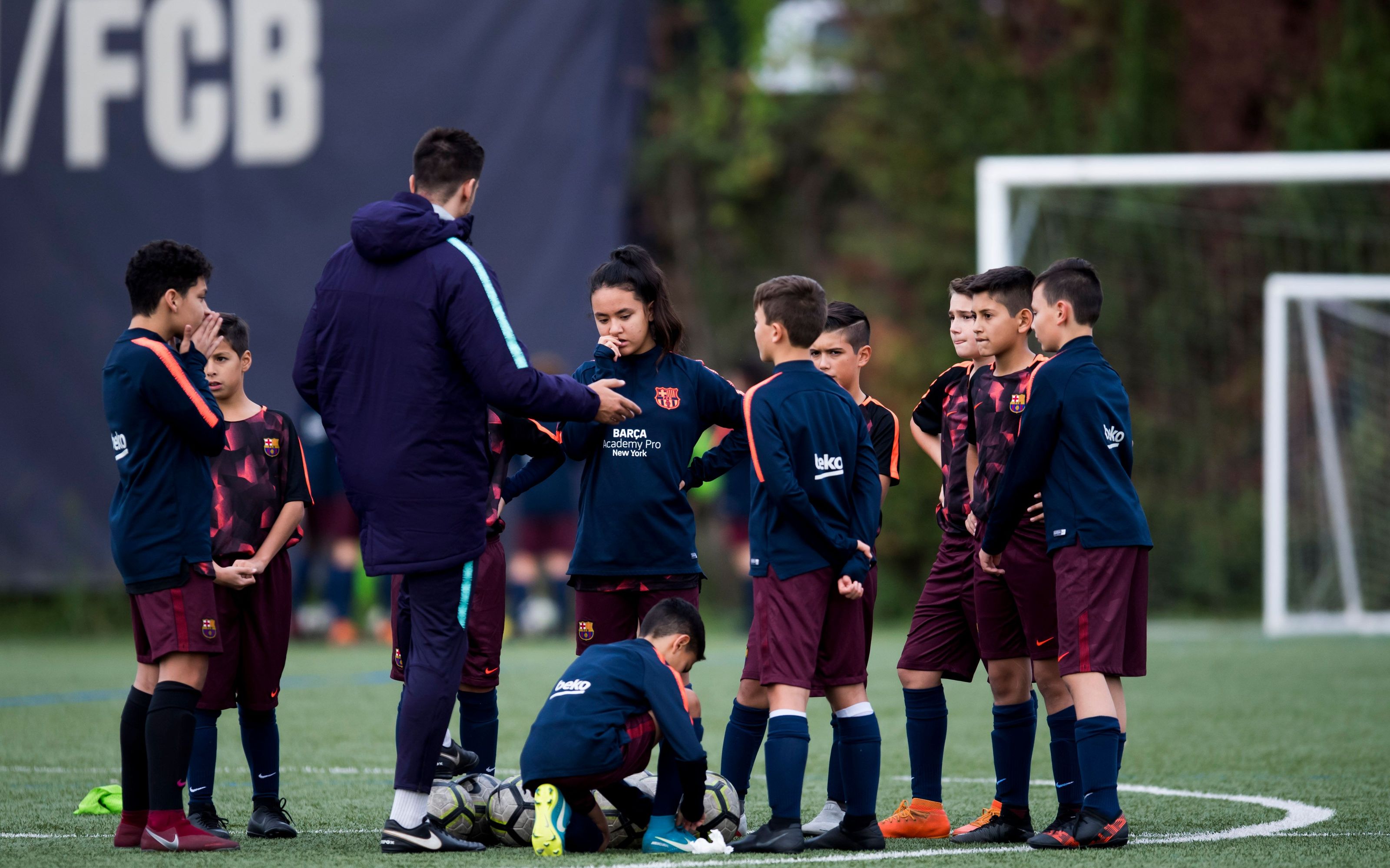 Gallery BA Pro NY/Academy Pro