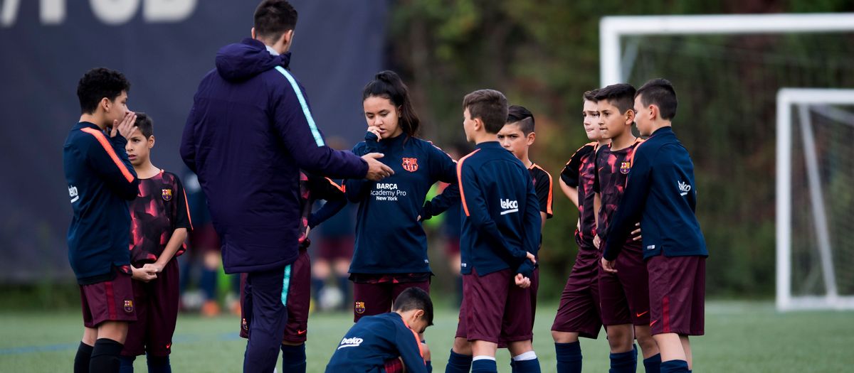 Gallery BA Pro NY/Academy Pro