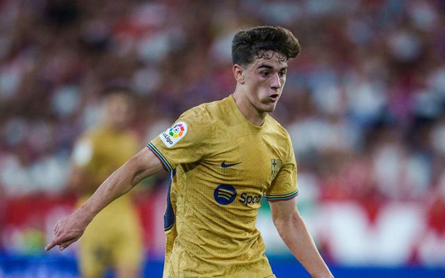 Gavi | 2022/2023 player page | Midfielder | FC Barcelona Official website