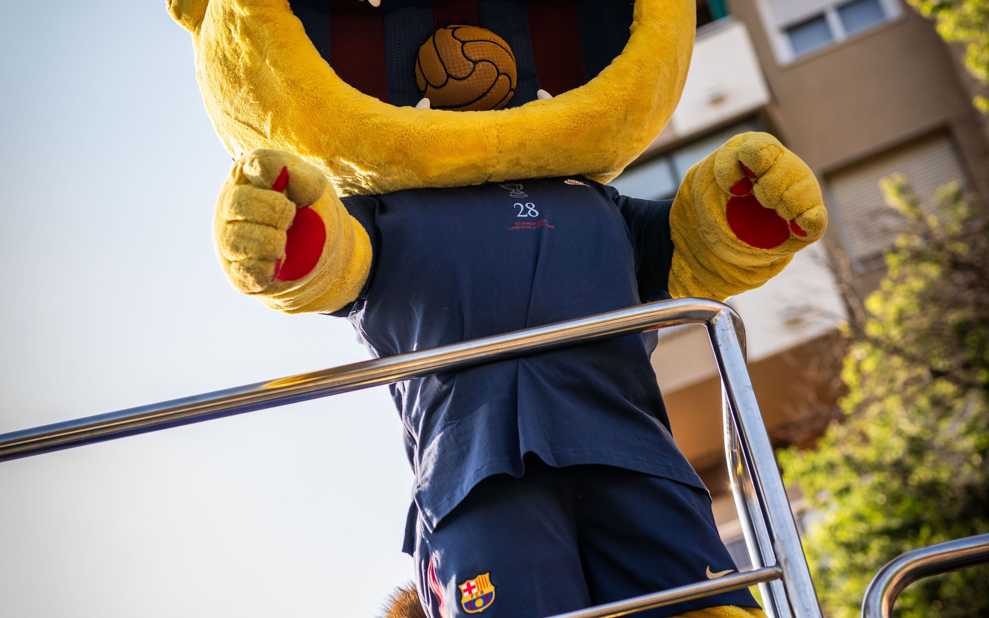 The victory parade in photos